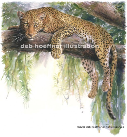 Leopard painting in soft realistic style of animal artist deb hoeffner ...