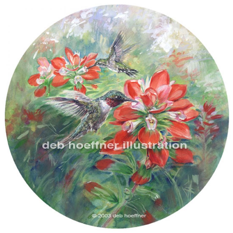 Animal illustration, realistic wildlife art by animal artist Deb Hoeffner