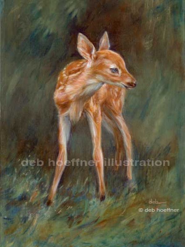 Oil paintings and commissions by Bucks County artist deb hoeffner.