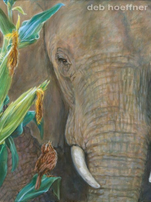 Bucks County Artist Gallery of deb hoeffner featuring oils, portraits