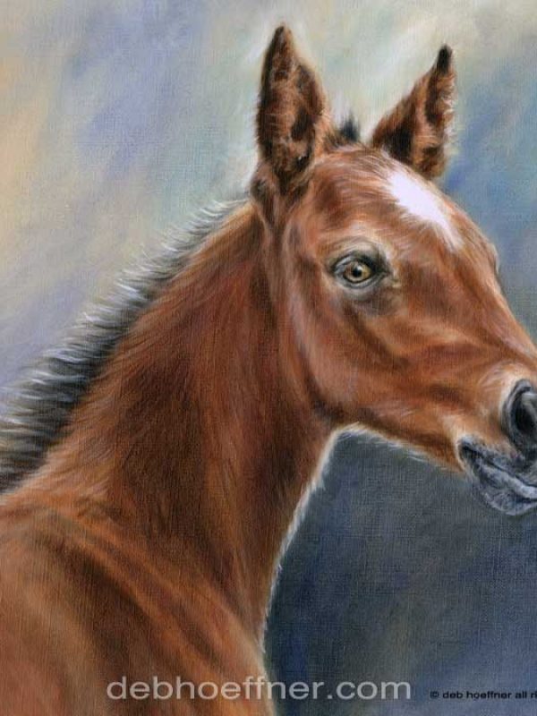 Portrait artist deb hoeffner, realistic portrait art in oil and pencil.