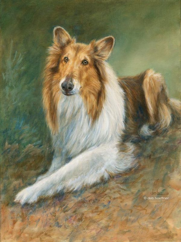 Portrait artist deb hoeffner, realistic portrait art in oil and pencil.