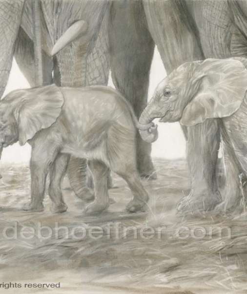 Art gallery drawings of realistic animals and portraits by artist deb ...